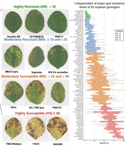 Projetos: – endriowebers.github.io